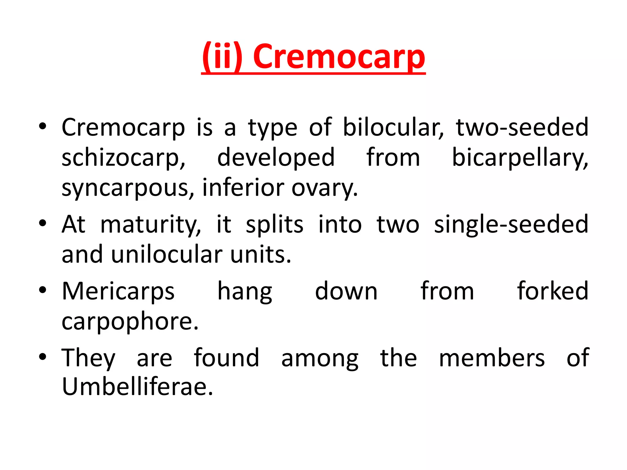 Fruits & seeds | PPTX