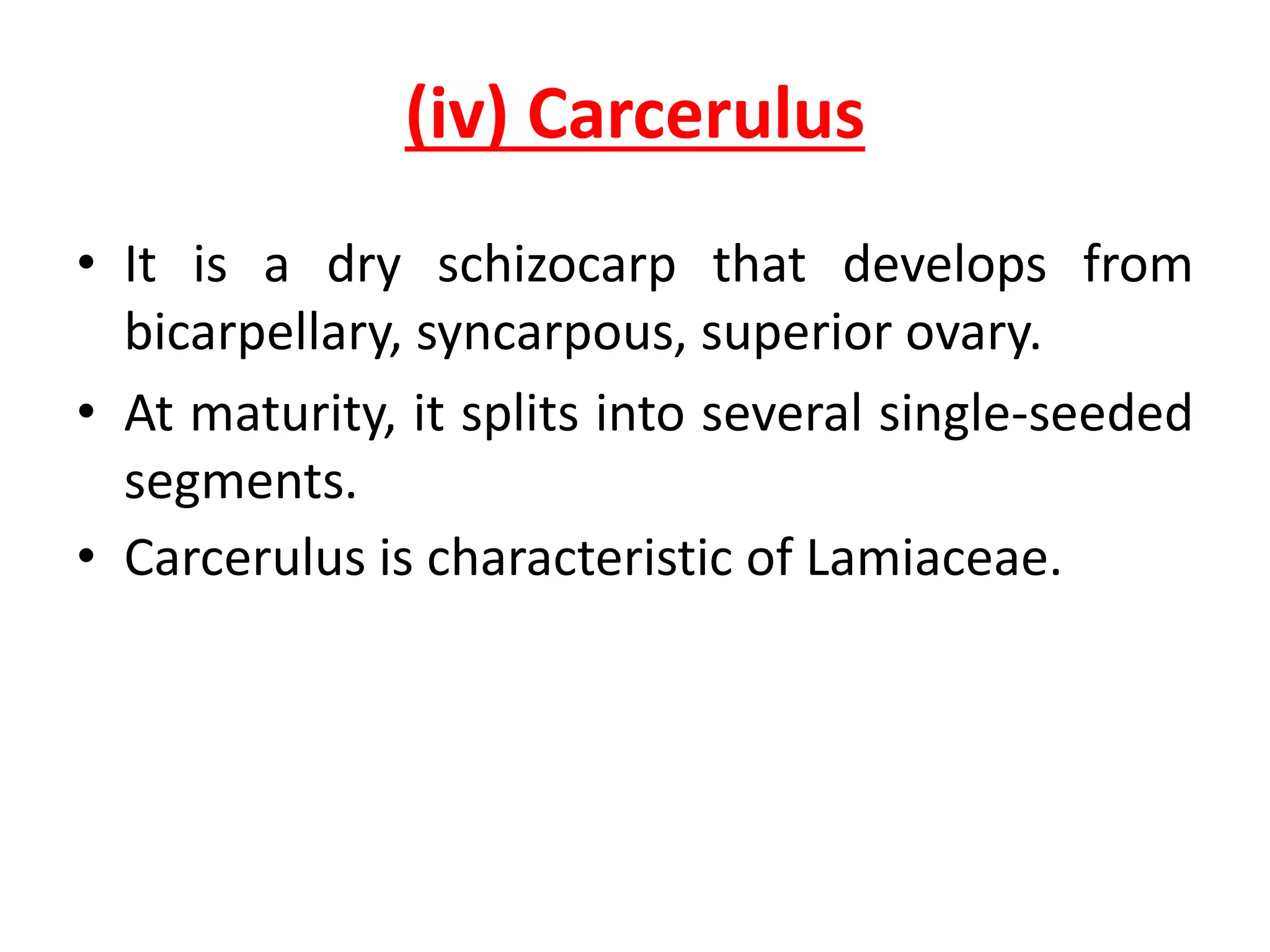 Fruits & seeds | PPTX