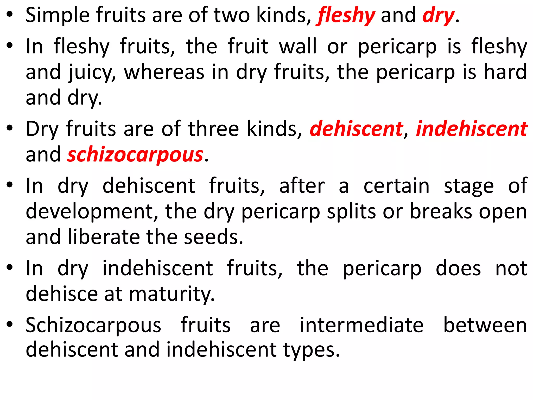 Fruits & seeds | PPTX