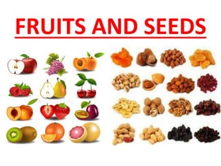 FRUITS AND SEEDS: Types, Development & Significance | PPT