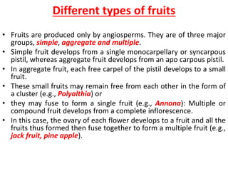Fruits & seeds | PPT