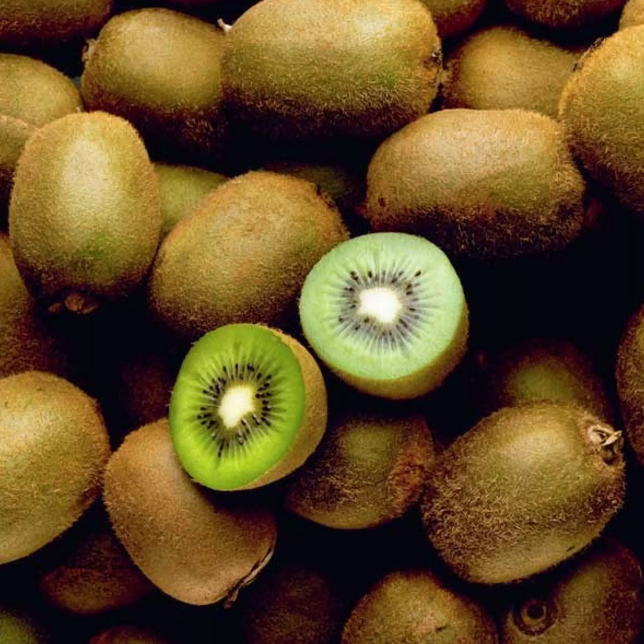 fruits slide show.pdf