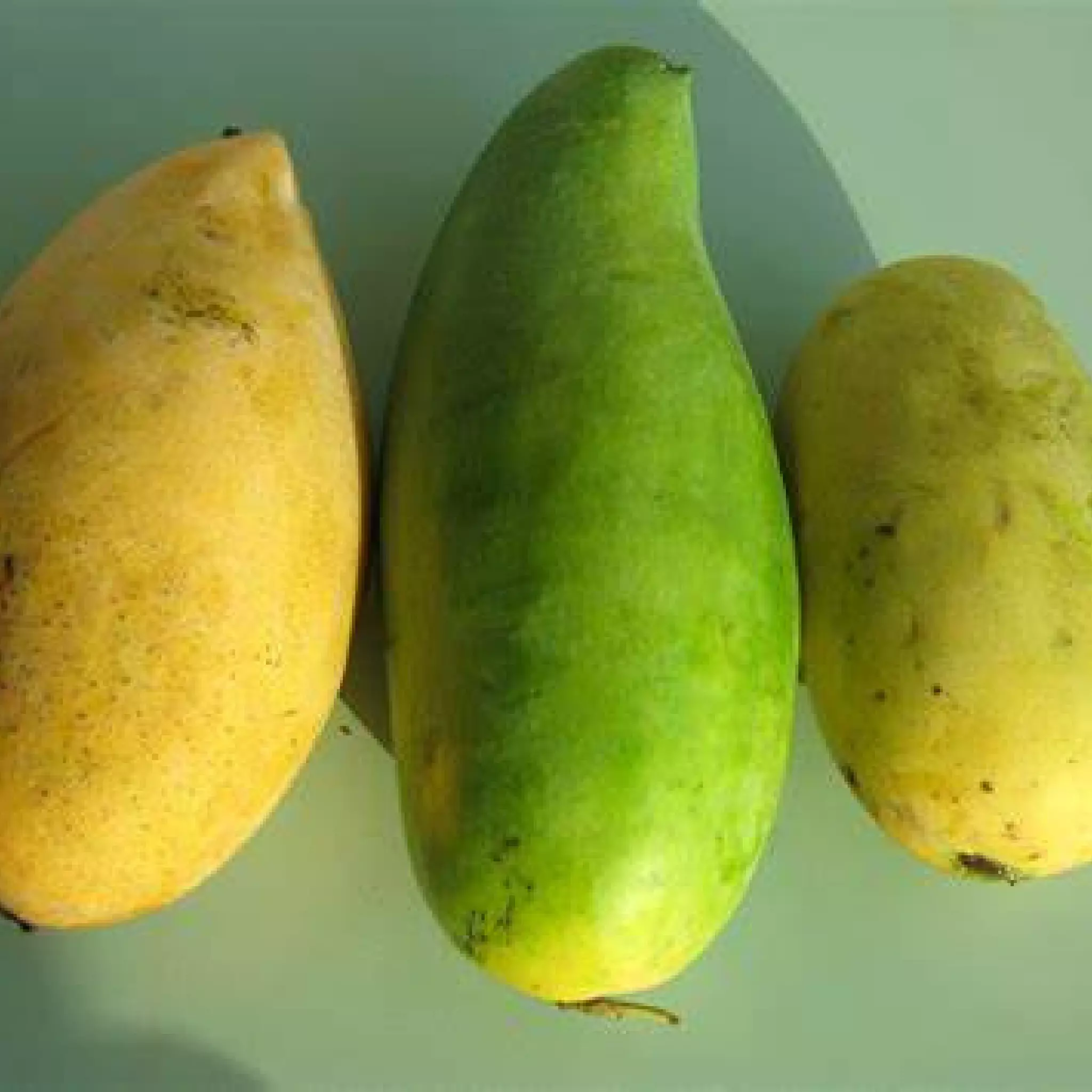 fruits slide show.pdf