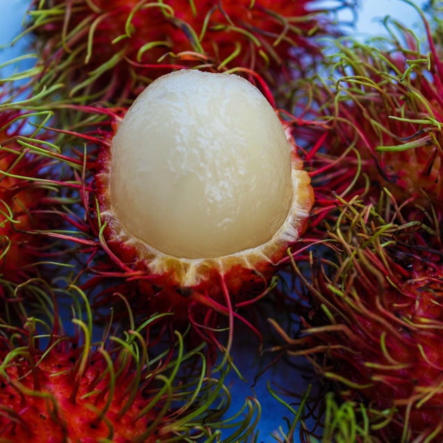 fruits slide show.pdf