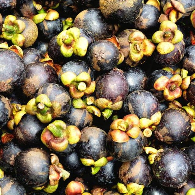 fruits slide show.pdf