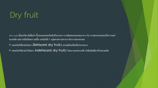 Fruit stucture and fructification 334 group 6 | PDF