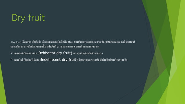 Fruit stucture and fructification 334 group 6 | PPT