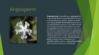 Fruit stucture and fructification 334 group 6 | PDF