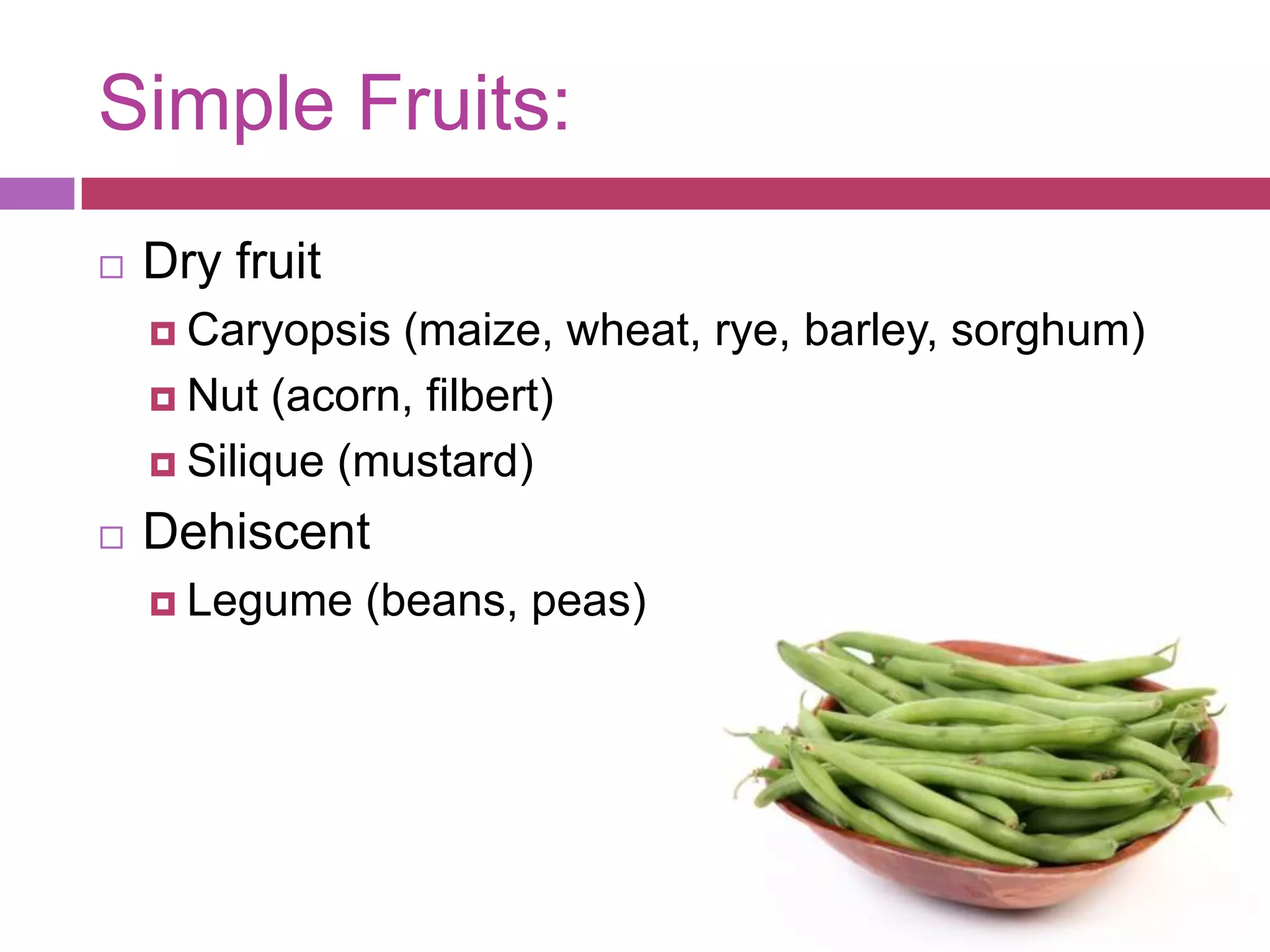 Fruits & vegetables | PPTX