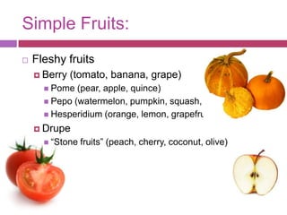 Fruits & vegetables | PPTX