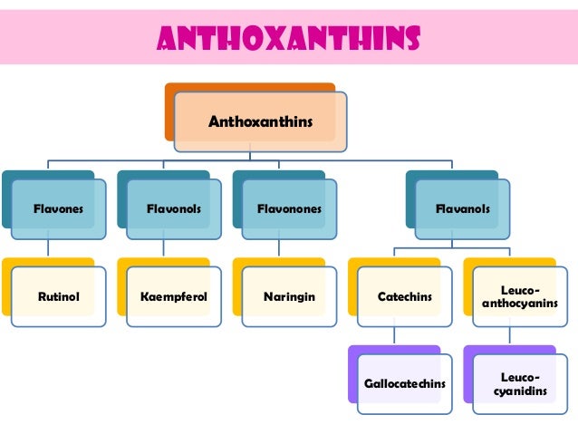 Anthoxanthin - Alchetron, The Free Social Encyclopedia