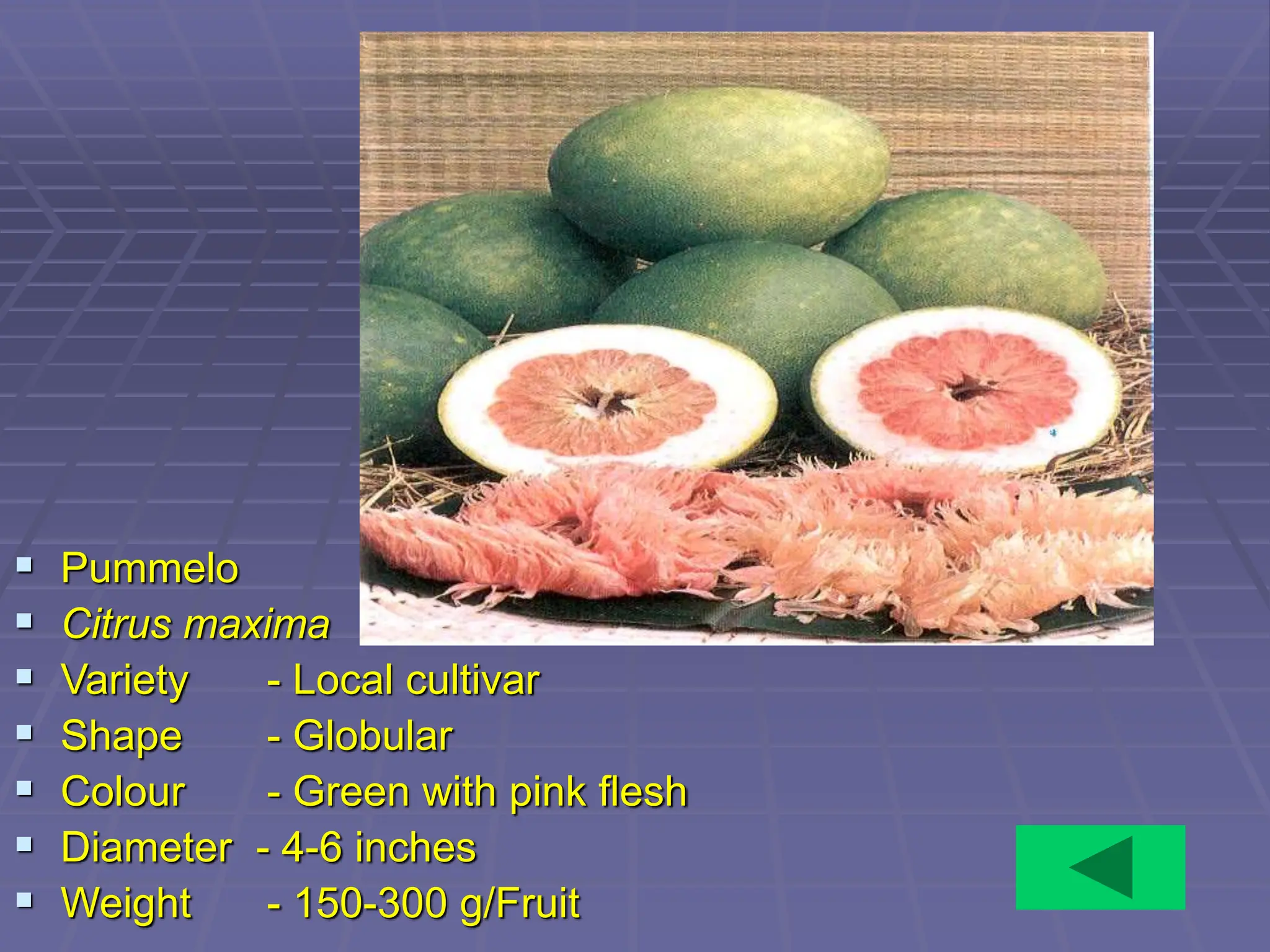 Export standards of Fruits and Vegetables.ppt