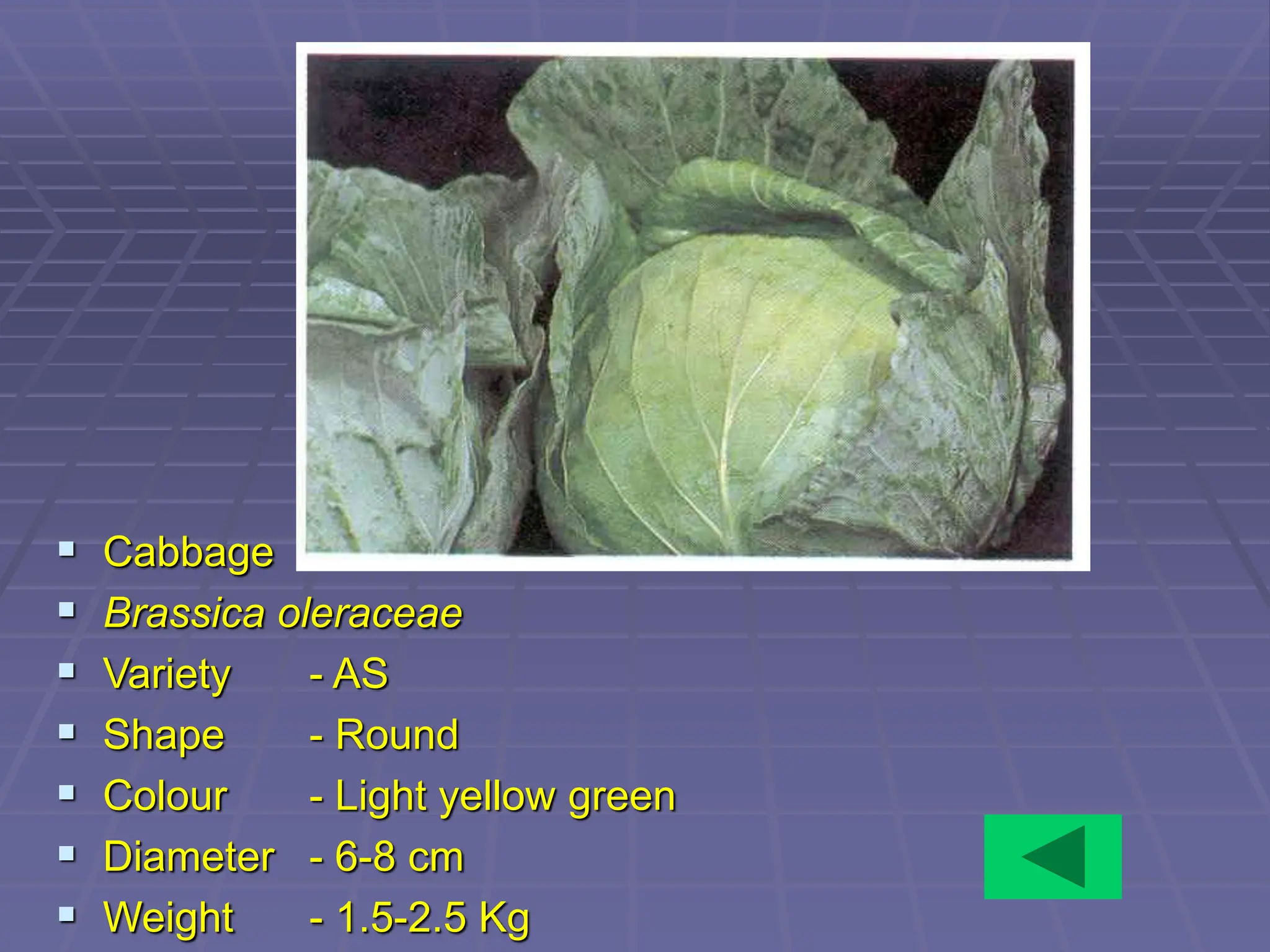 Export standards of Fruits and Vegetables.ppt