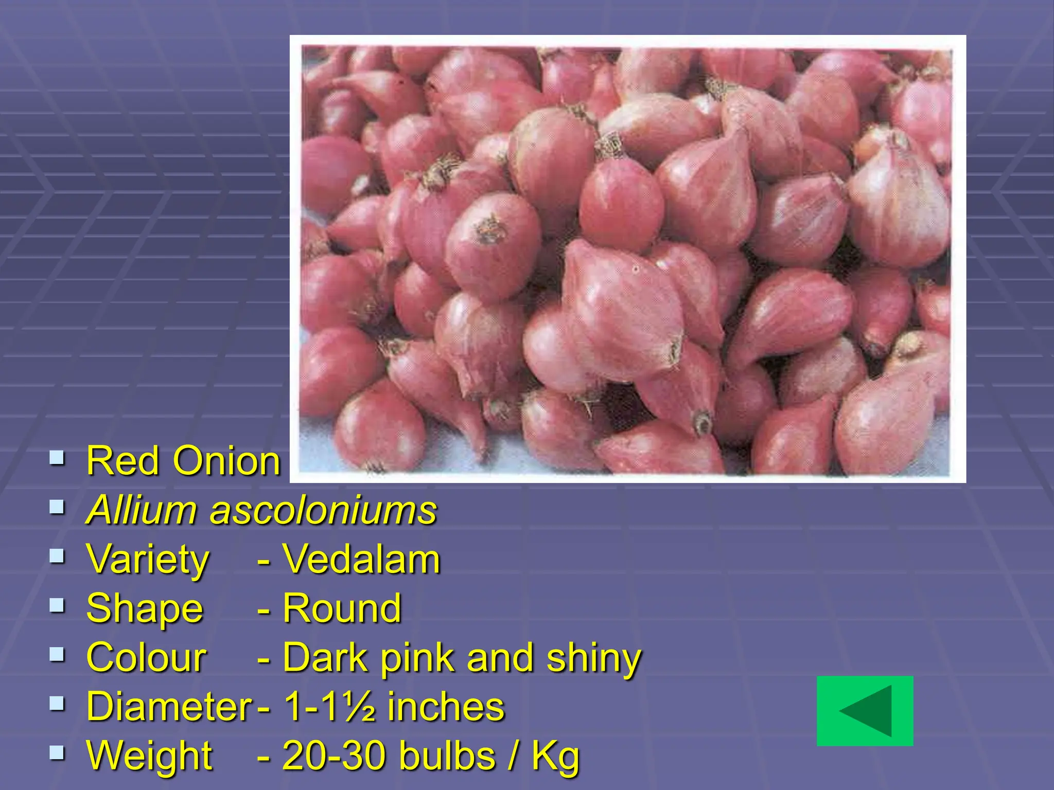 Export standards of Fruits and Vegetables.ppt