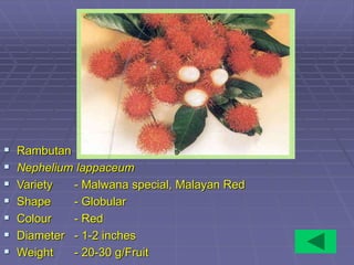 Export standards of Fruits and Vegetables.ppt | Asia Travel | Travel ...