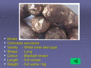 Export standards of Fruits and Vegetables.ppt | Asia Travel | Travel ...