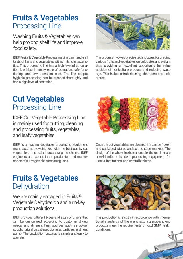 Fruits & Vegetables Processing Line | PDF