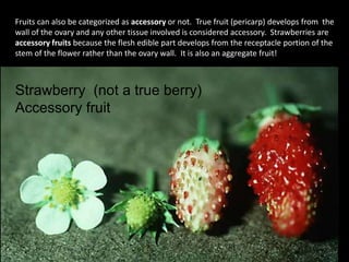 fruits with words.pptx