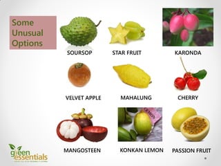 Fruits You Can Grow in the Konkan | PDF