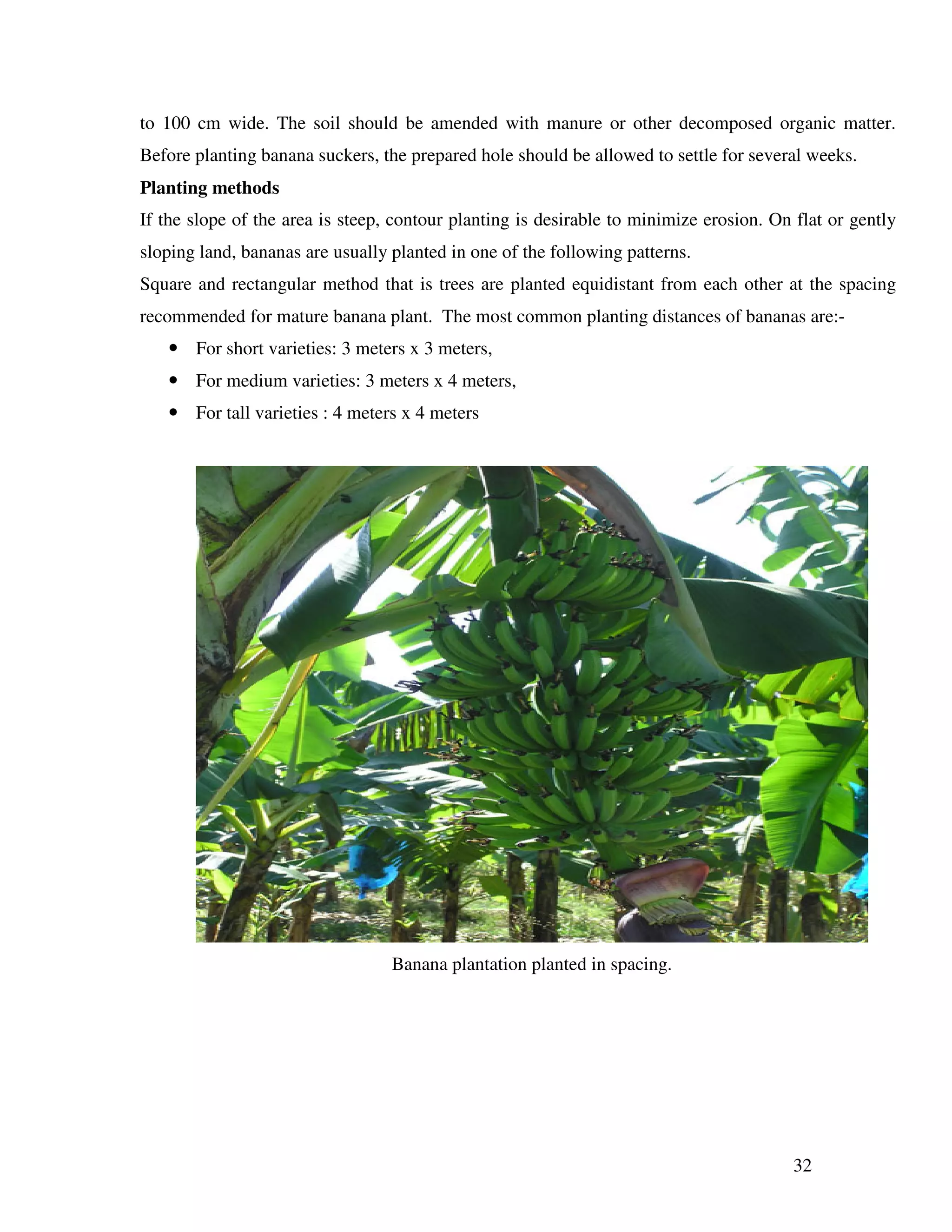 Fruit Training Manual (.pdf | Gardening | Home & Garden