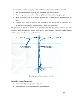 Fruit Training Manual (.pdf