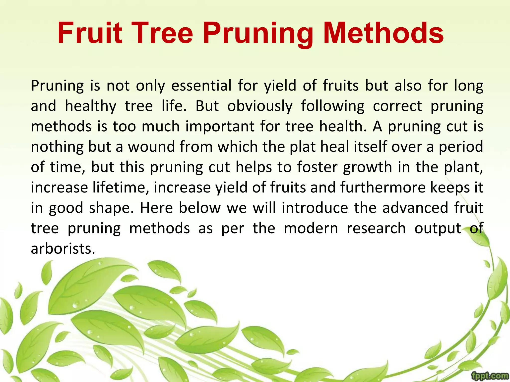 Fruit tree pruning methods - Tree Care | PPTX | Woodworking | Arts and Crafts
