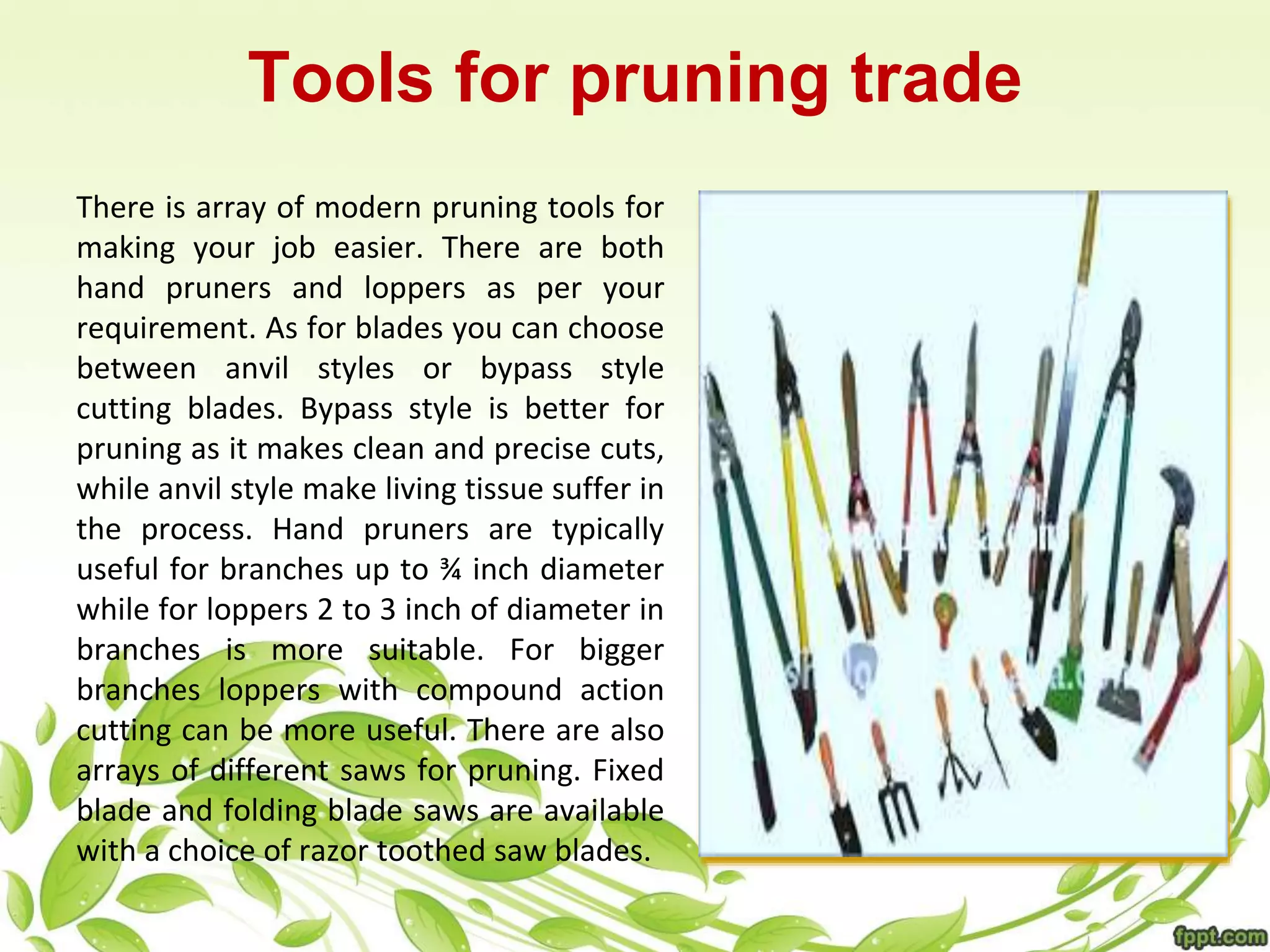 Fruit tree pruning methods - Tree Care | PPTX | Woodworking | Arts and Crafts