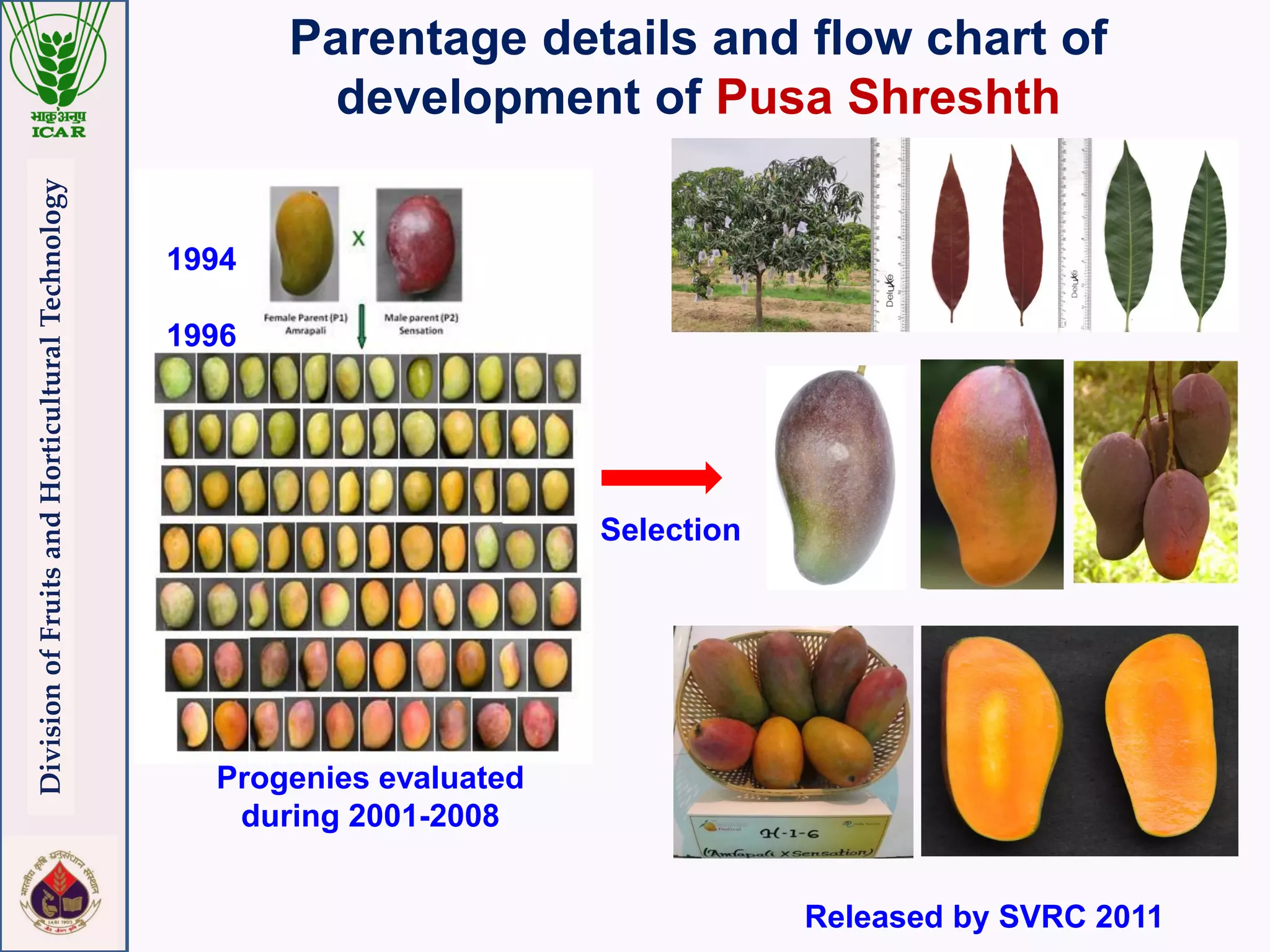 Fruit variety registration and variety release procedures | PDF