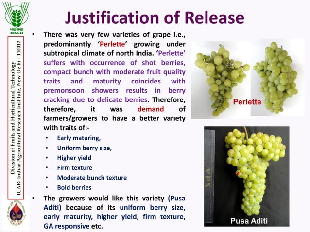 Fruit variety registration and variety release procedures | PDF