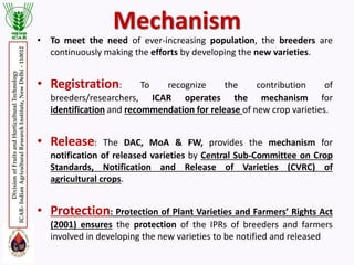 Fruit variety registration and variety release procedures | PDF