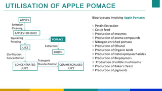 Fruit waste management | PPT