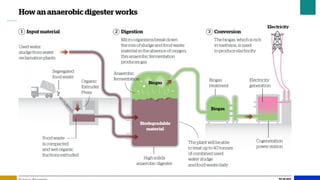 Fruit waste management | PPT