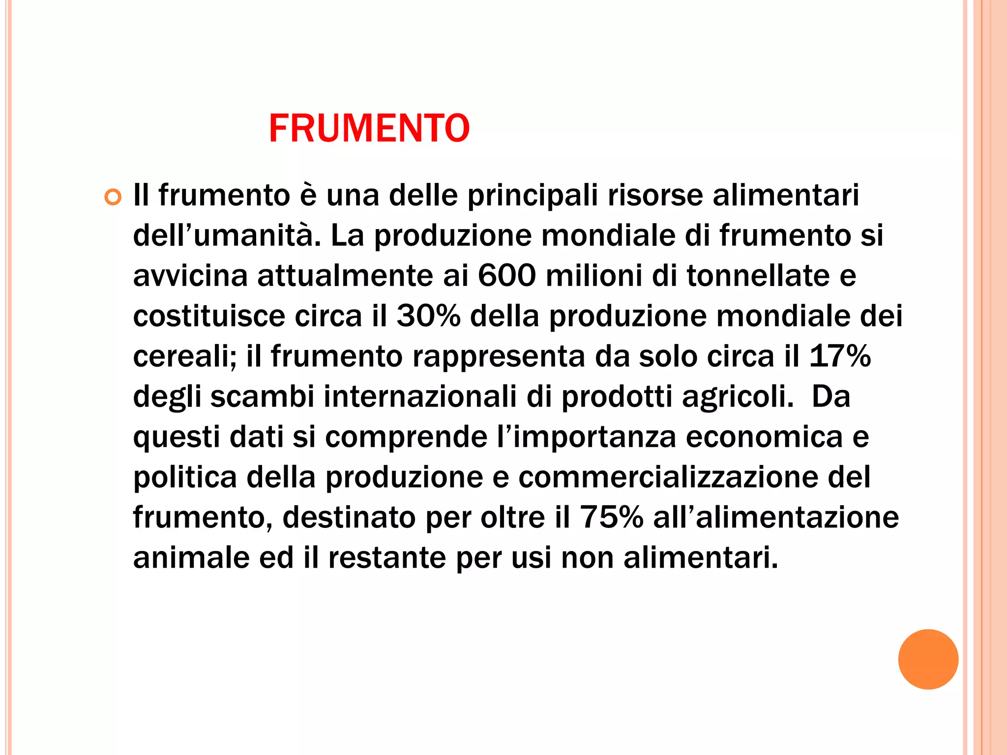 Frumento e i suoi derivati. | PPTX