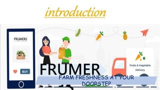 FRUMERS PPT.pptx 2.pptx