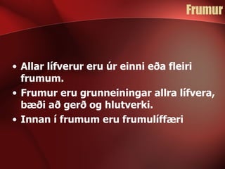 Frumur | PPT