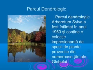 Frumusetile comunei gurahont | PPT