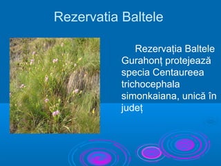 Frumusetile comunei gurahont | PPT