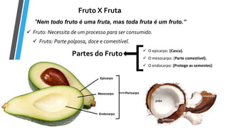 Frutas e frutos- Tomate, Abacate e Coco | PPTX