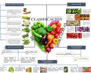 Clasificación de Frutas y Hortalizas, Productos Frescos y procesados | PDF