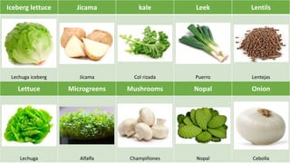 Fruits & Vegetables | PPTX