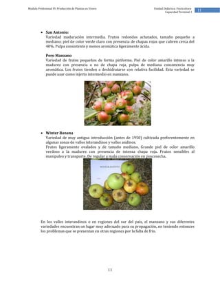 Fruticultura general capacidad terminal i | PDF