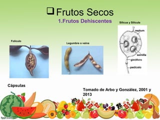 Fruto. | PPT