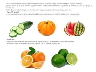 fruto. botánica, anatomía y funcionamiento | PPTX