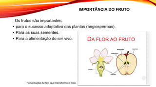 Fruto e semente - Organografia Vegetal | PPTX