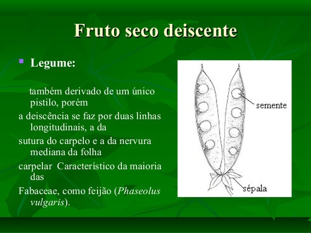 Frutos