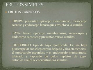 Frutos | PPTX