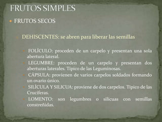 Frutos | PPTX