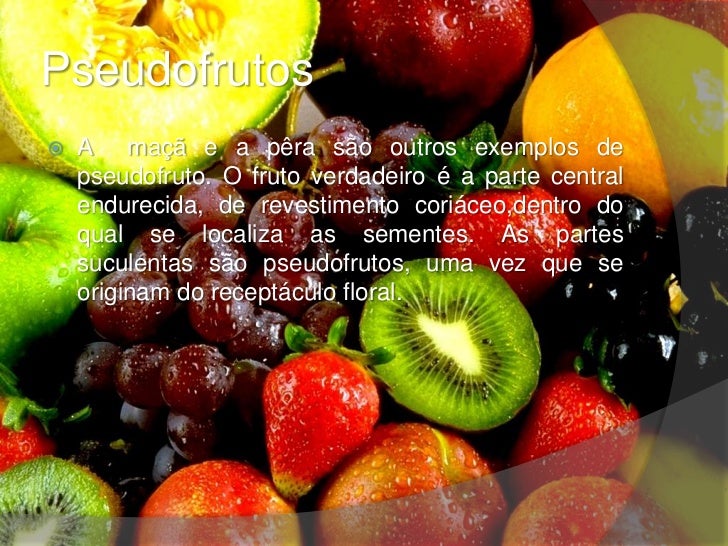 Frutos & Pseudofrutos
