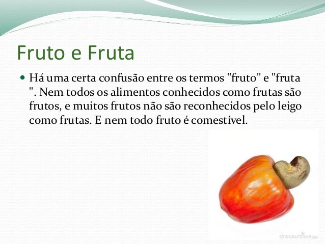 Qual O Conceito De Fruto – Fruto: O que é, significado – NRIN