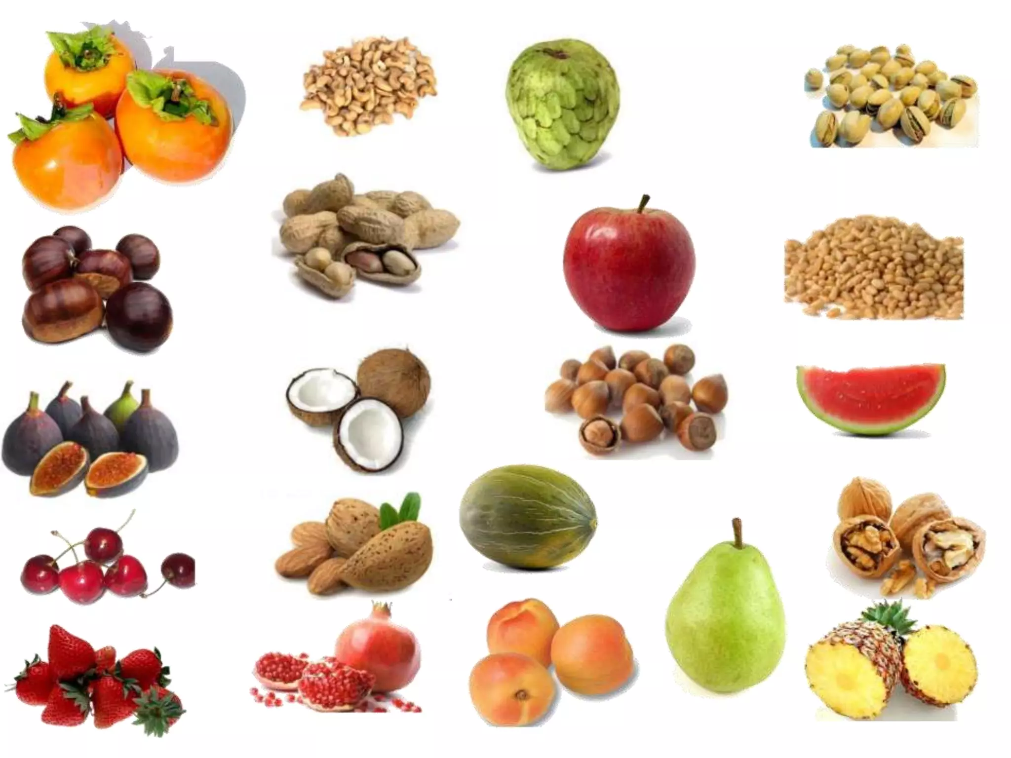 Frutos Carnosos Y Secos